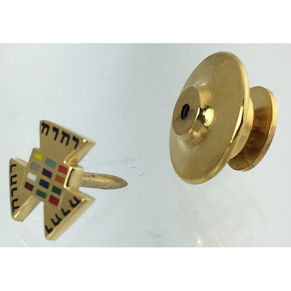 Past High Priest Lapel Button in 10K YG and color enamel