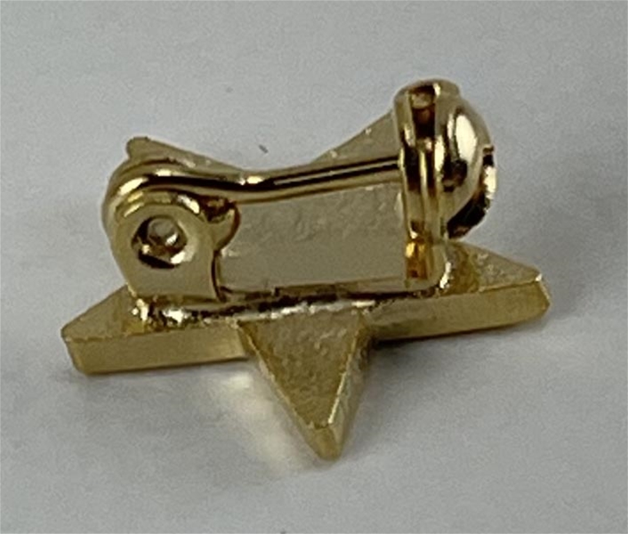 OES 50 year service pin
